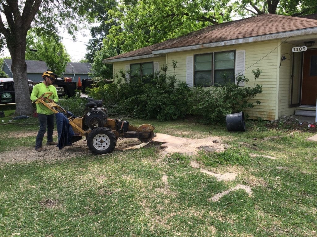 Stump Removal and Stump Grinding Services in Houston