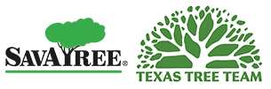 Home - Texas Tree Team - Houston Tree Service & Consulting Arborists